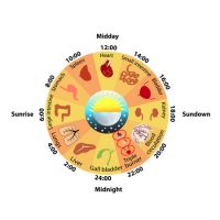 Your Body Clock, Your Health - Tansy Briggs, DACM